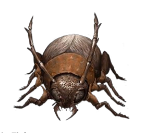 Mutant beetle | Deathlands Wiki | Fandom