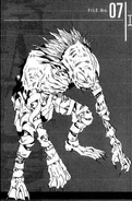 Deridovely | Death Note Wiki | Fandom