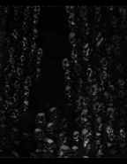 Death Note Original Soundtrack | Death Note Wiki | Fandom