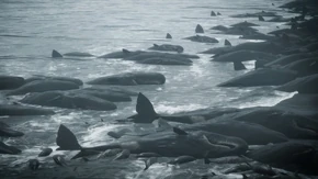 Chiralium | Death Stranding Wiki | Fandom