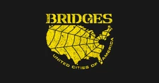 Bridges | Death Stranding Wiki | Fandom