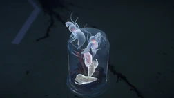 Cryptobiote | Death Stranding Wiki | Fandom