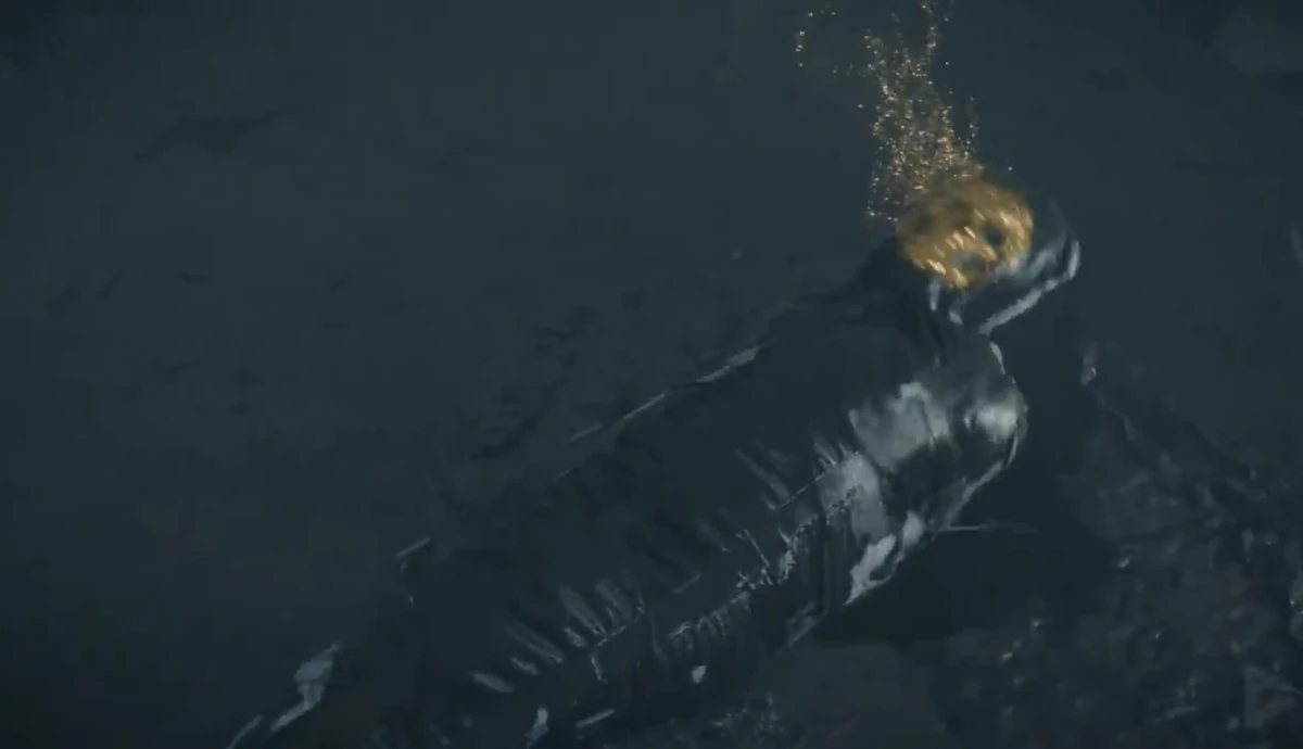 Body Bag | Death Stranding Wiki | Fandom