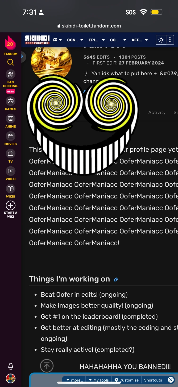 prohibit userpage code from limiting phone users's accessibility | Fandom