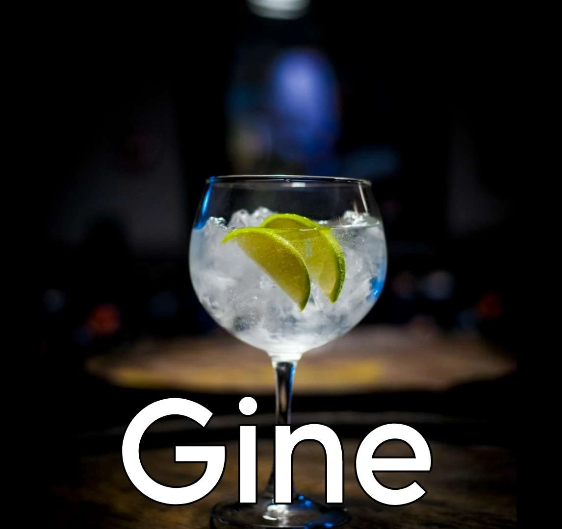 Gine | Debating Community Wiki | Fandom