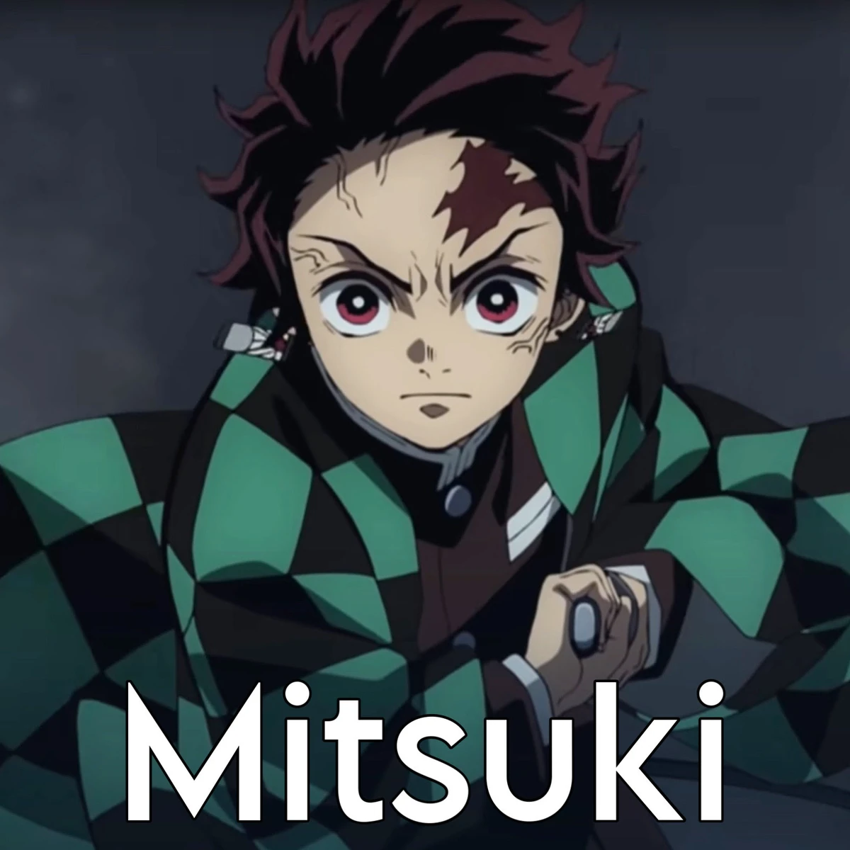 Mitsuki | Debating Community Wiki | Fandom