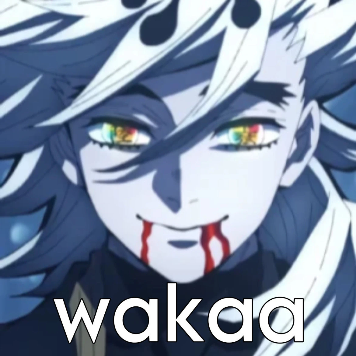 Info about Wakaa | Debating Community Wiki | Fandom