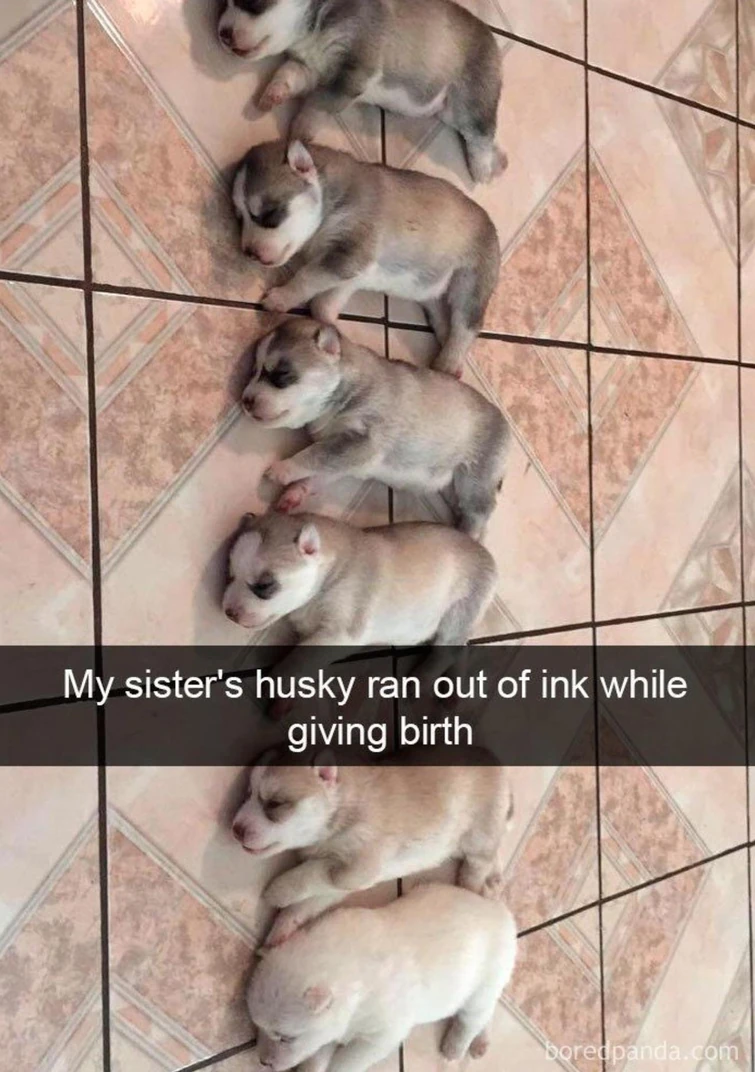 Searched up eyebleach | Fandom