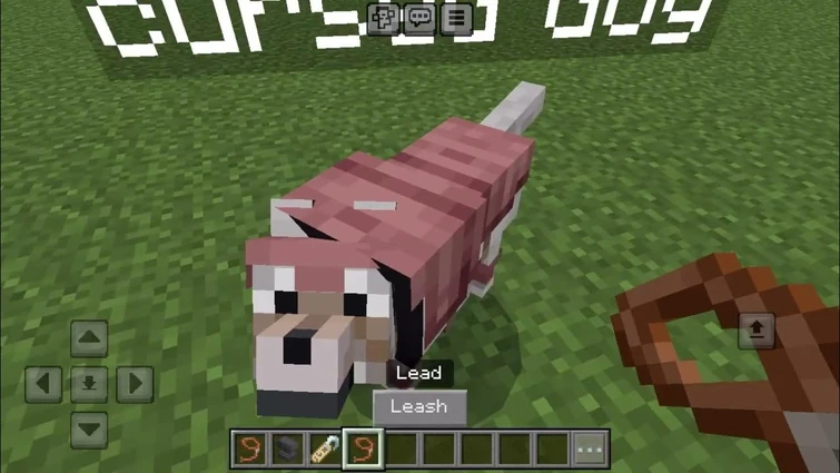 Black sheep | Fandom