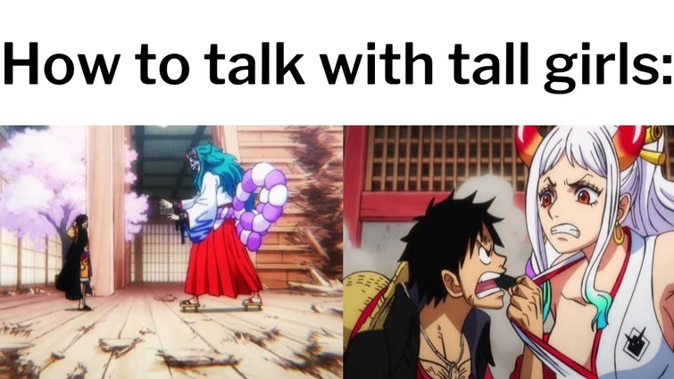 One piece memes pt 11 | Fandom
