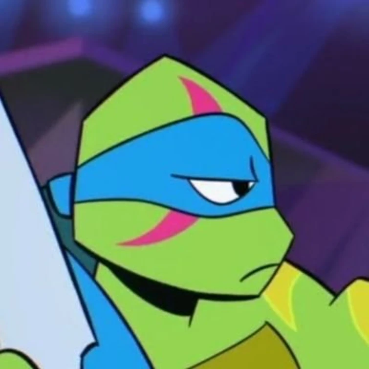 Turtle appreciation post | Fandom