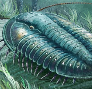 Discuss Everything About Dinopedia | Fandom