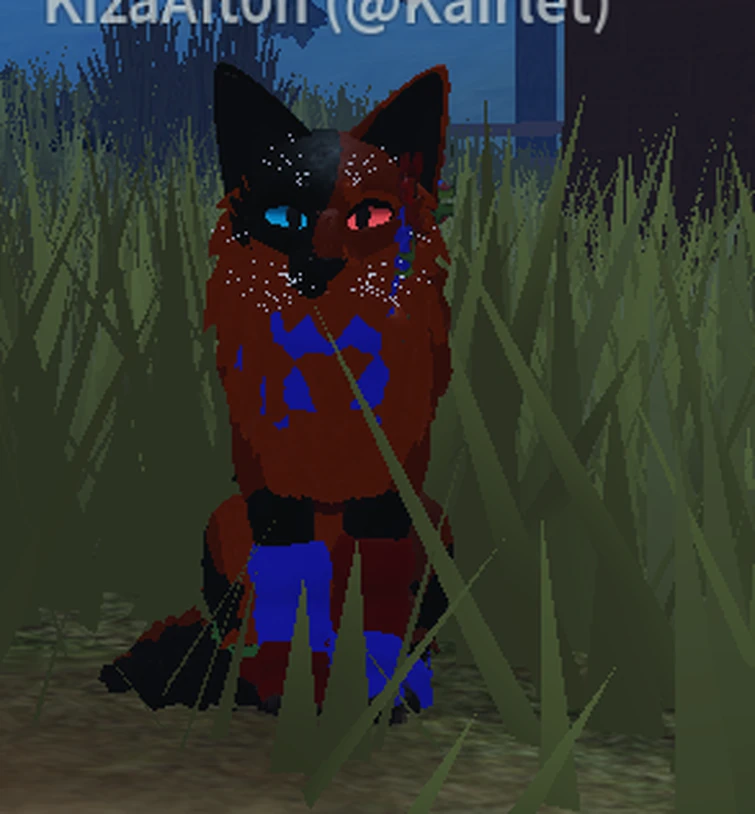 fox BM!! | Fandom