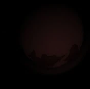 Quari | Decent Planet Game Wiki | Fandom