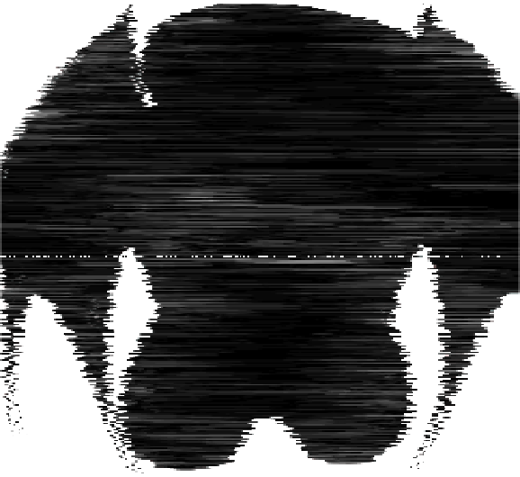 Pirmais | Decimated Fractured Wiki | Fandom