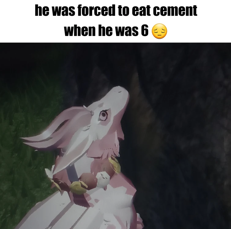 dunkin the saur presents to you memes | Fandom