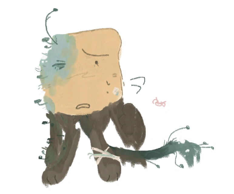 charlotte hfjone | Fandom