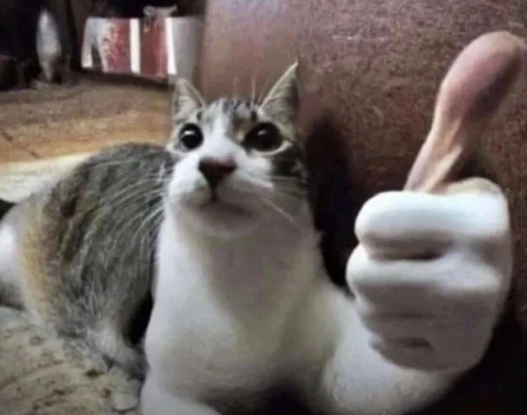 boltreaver astalos drawing i did quite a while ago | Fandom