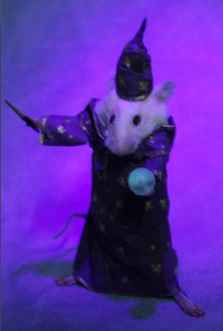 McMouse | Deedge Wiki | Fandom