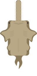 Saw Fish - Deeeep.io Wiki