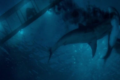 Deep Blue Sea Tiger Shark Deep Blue Sea 3 Teases Climate Crazed Bull