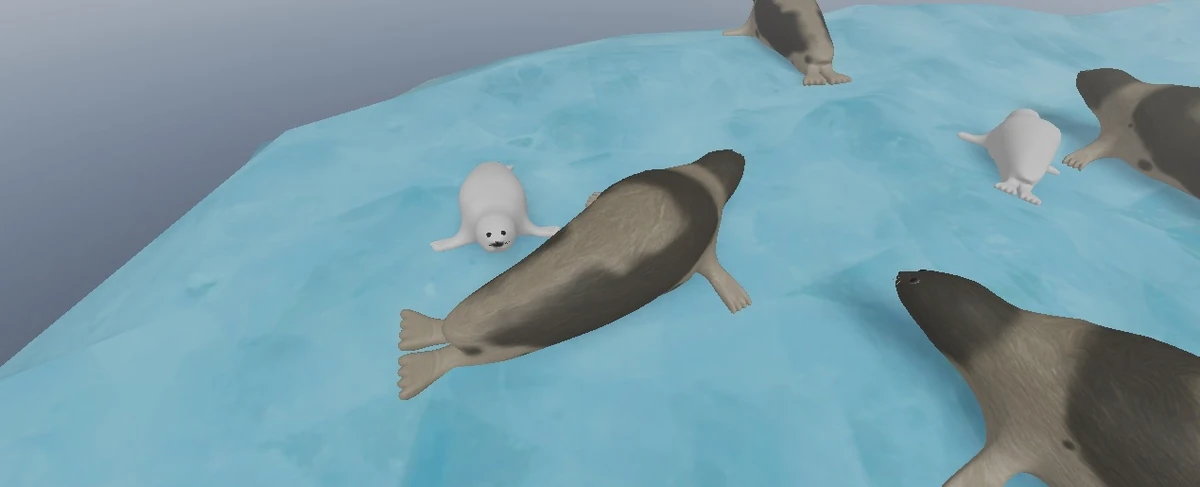 Foca pia (Pagophilus groenlandicus) | Wiki Deep blue subnautical ...