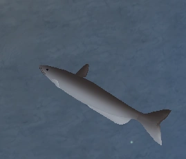 Catfish | Deep Ocean Roblox Wiki | Fandom