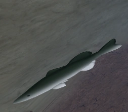 Bass | Deep Ocean Roblox Wiki | Fandom