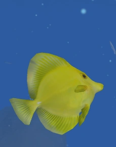 Yellow Tang | Deep Ocean Roblox Wiki | Fandom