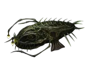 Kataan | Deepolis Wiki | Fandom