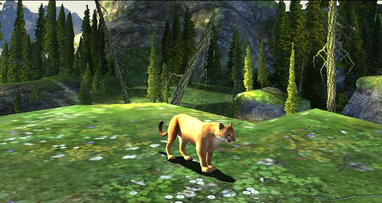 Puma concolor | Deer Hunter Wikia | Fandom