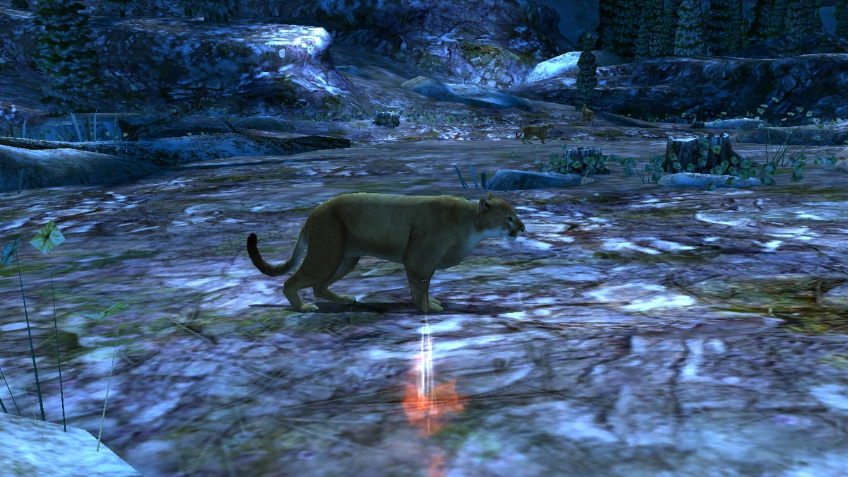Puma | Deer Hunter Wikia | Fandom