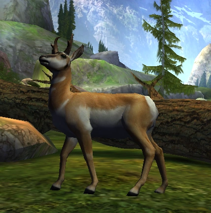 Berrendo | Deer Hunter Wikia | Fandom