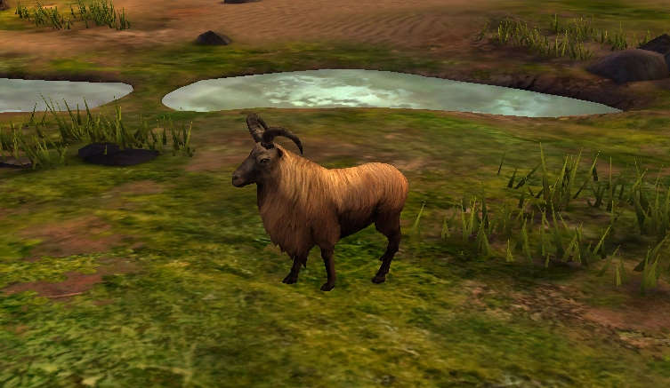 Tar | Deer Hunter Wikia | Fandom