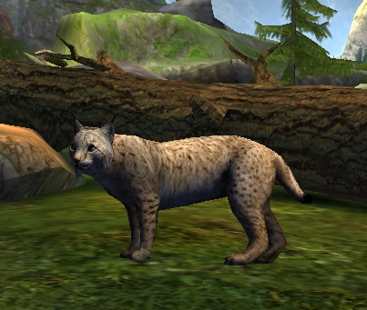 Lince | Deer Hunter Wikia | Fandom