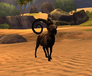 Xander | Deer Hunter Wikia | Fandom