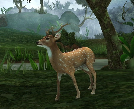 Axis | Deer Hunter Wikia | Fandom