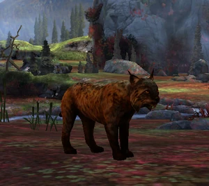 Pavesa | Deer Hunter Wikia | Fandom