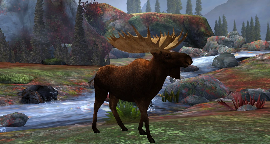 Alce canadiense oriental | Deer Hunter Wikia | Fandom