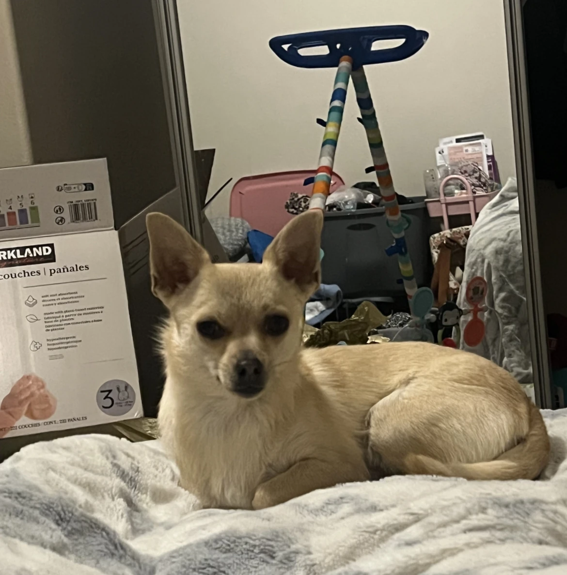 Maple | Deer Squad Fanon Wiki | Fandom