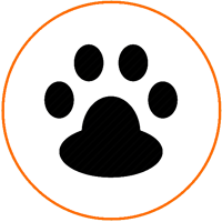 De-Extinction Mod Wiki | Fandom