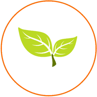 De-Extinction Mod Wiki | Fandom