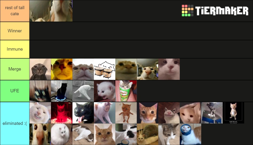 Cat Voting 19! | Fandom