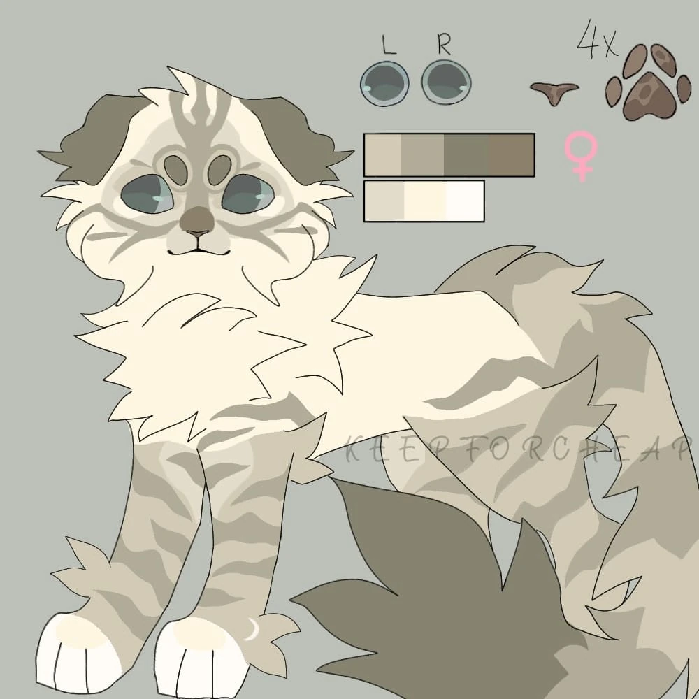 commissions open!! | Fandom