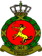 301 Squadron | Defensieweb wiki | Fandom