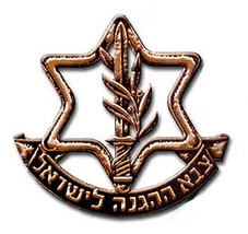 Israel Defense Forces | Defensieweb wiki | Fandom