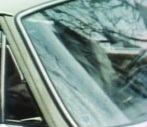 Irene's father | Degrassipedia Wiki | Fandom