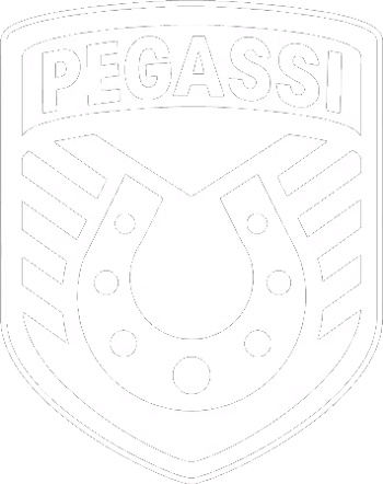 Pegassi | GTA Wiki | Fandom