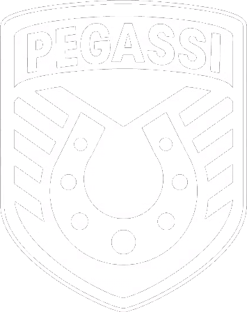 Pegassi | GTA Wiki | Fandom