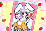 Akari Usada | Di Gi Charat Wiki | Fandom